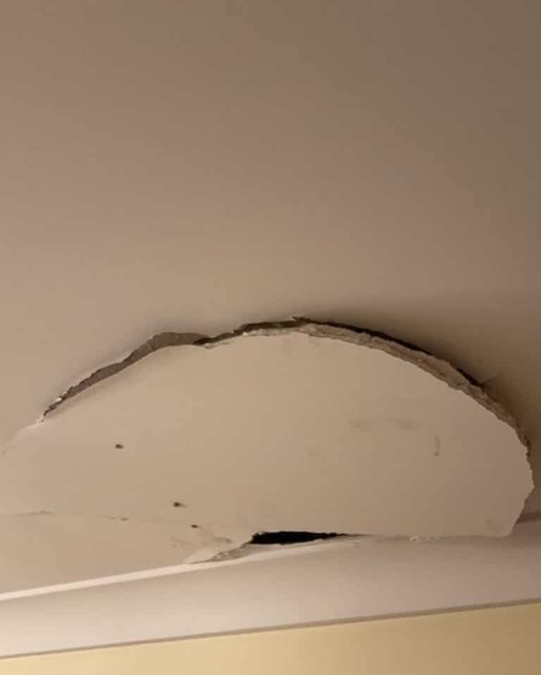 Ceiling patch repairs - Ellenbrook Perth - Perth Ceiling Repair Specialists